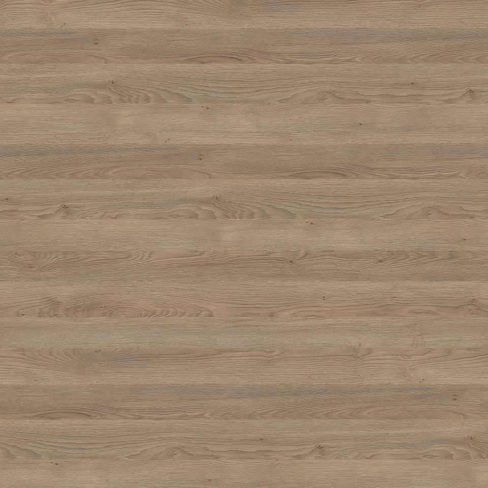 Grey Beige Gladstone Oak Sg 0.8Mm Laminate - Nikpol
